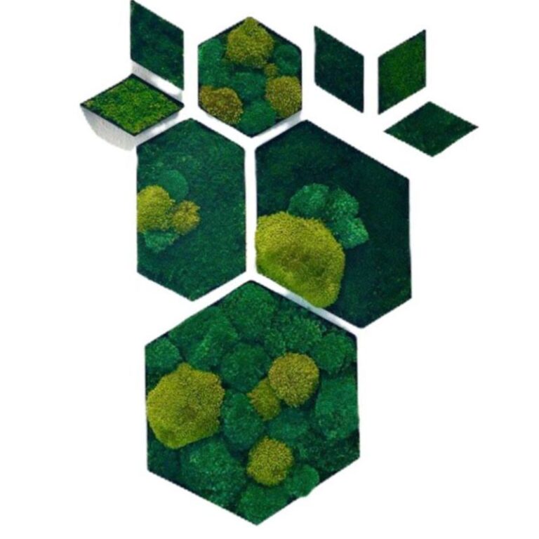 Moskunst – Aflangt mos billede med Rensdyrlav - NatureByBaum