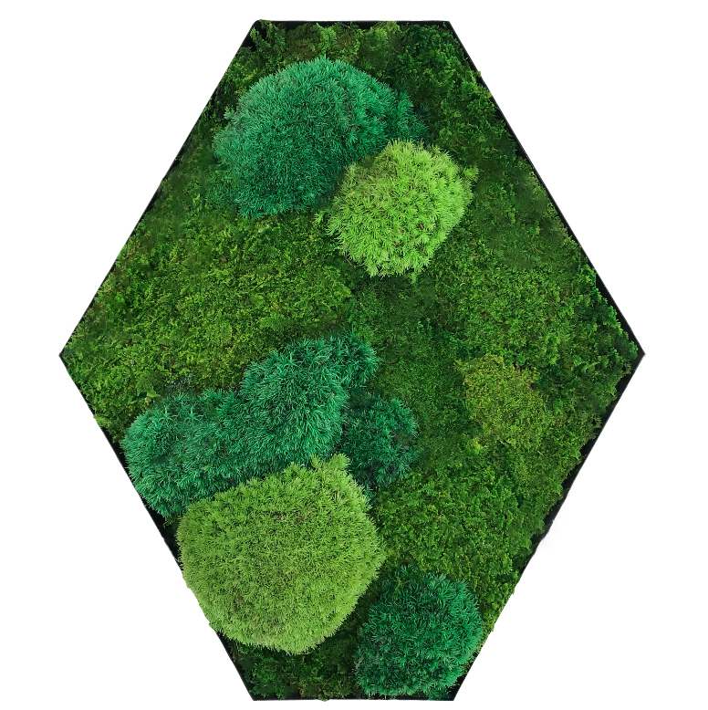 Mosværker i 5 forskellige geometriske størrelser – NatureByBaum