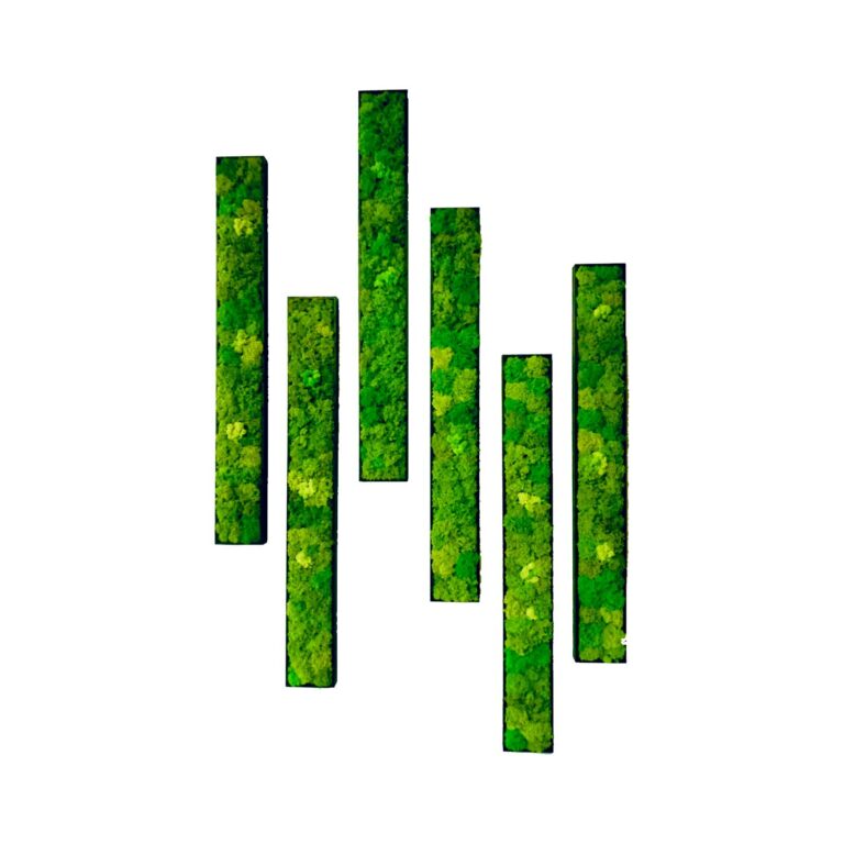 Aflangt mos billede med Rensdyrlav | NATUREBYBAUM