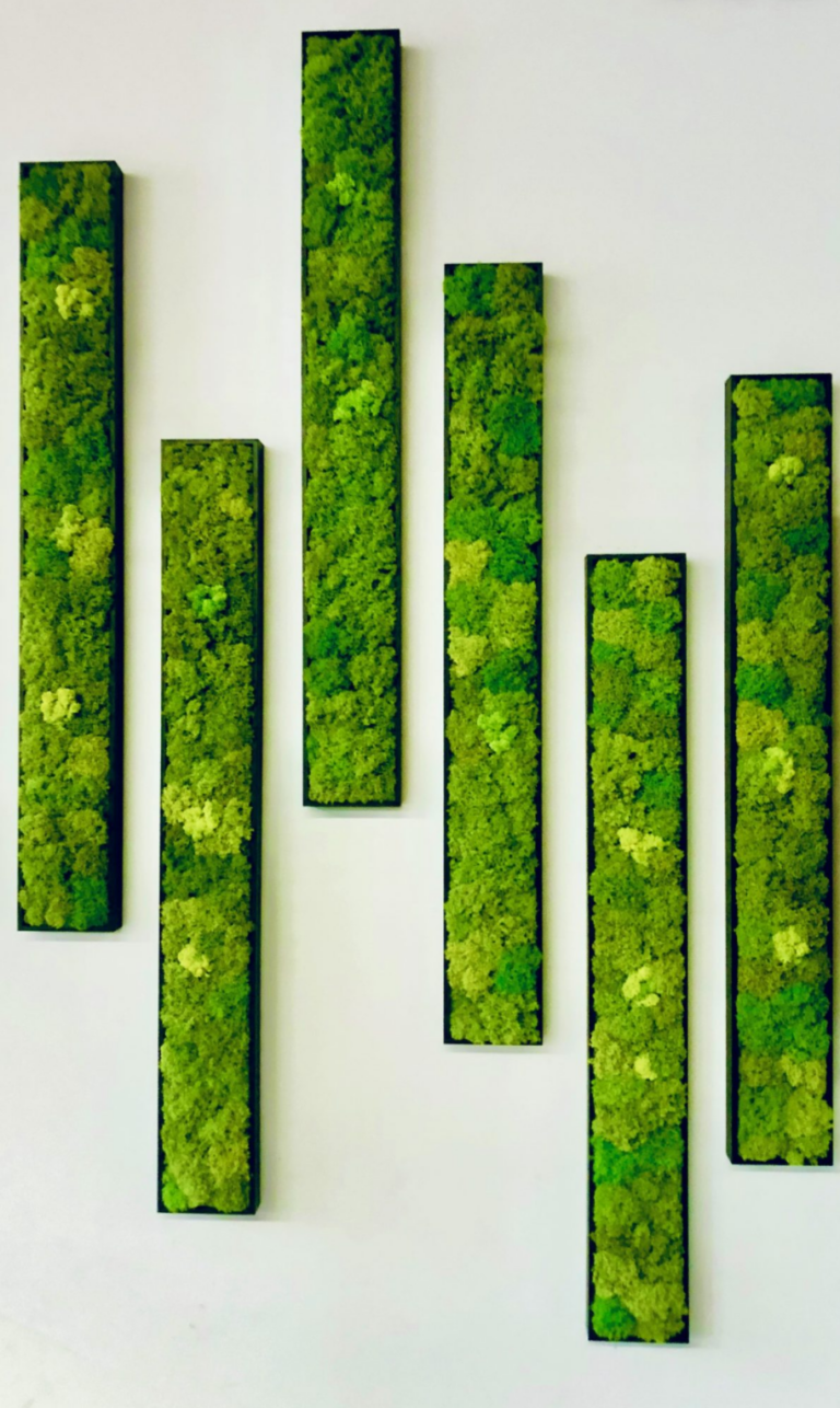 Moskunst – Aflangt mos billede med Rensdyrlav | NatureByBaum