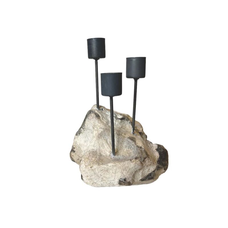 Rundt Mosbillede med Rensdyrlav | Køb her | NatureByBaum